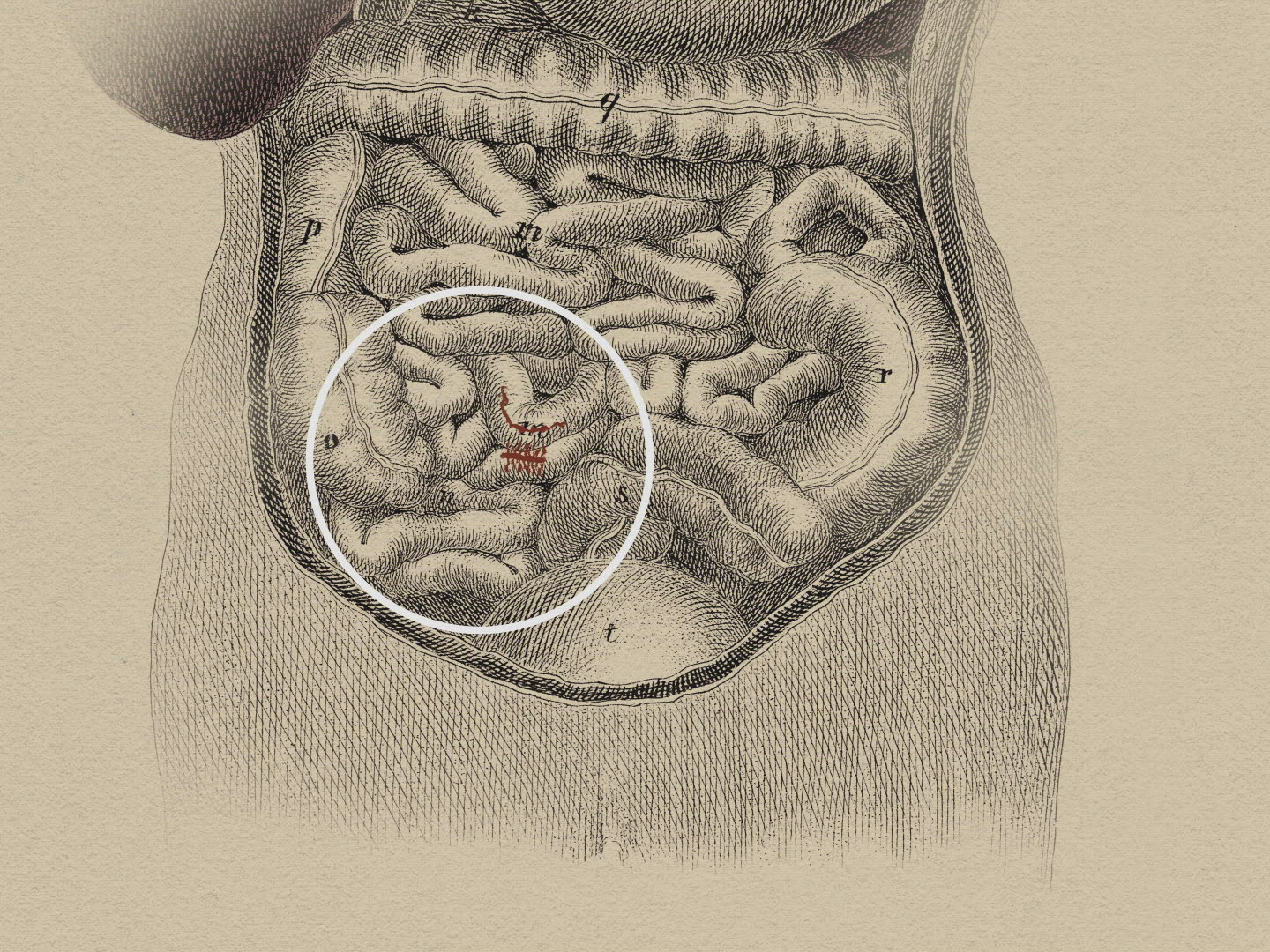 Prime Video: Sick - Season 3