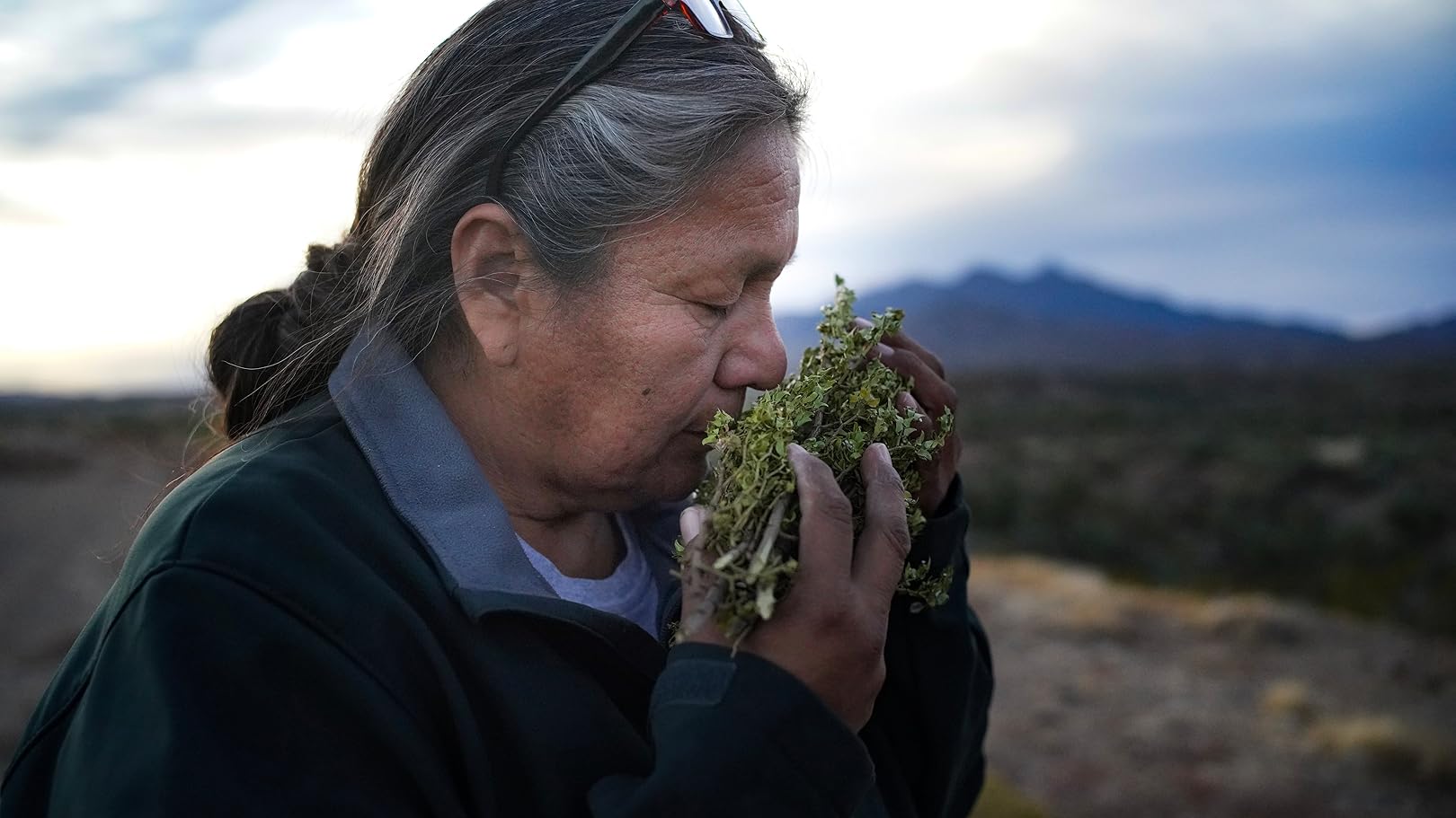 Watch Gather | Prime Video