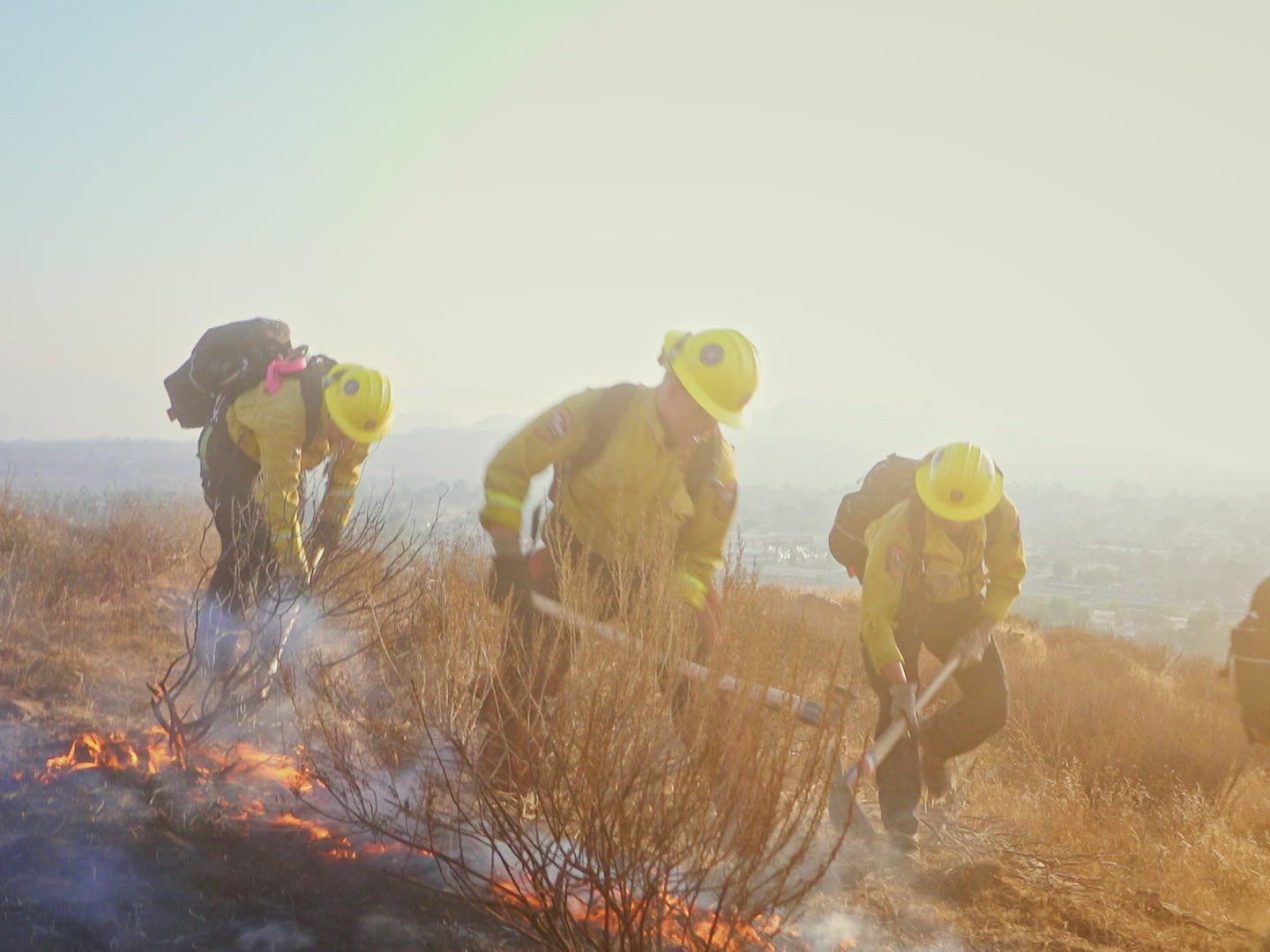 Prime Video: Cal Fire - Season 1