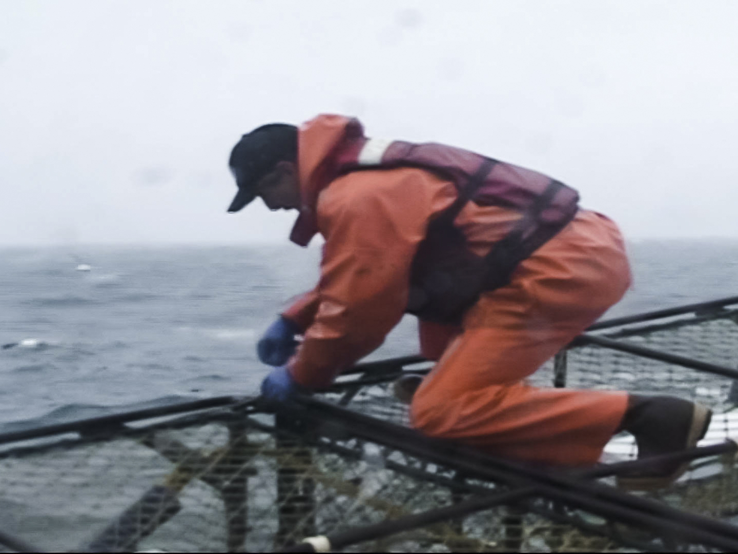 Prime Video: Deadliest Catch - Season 1