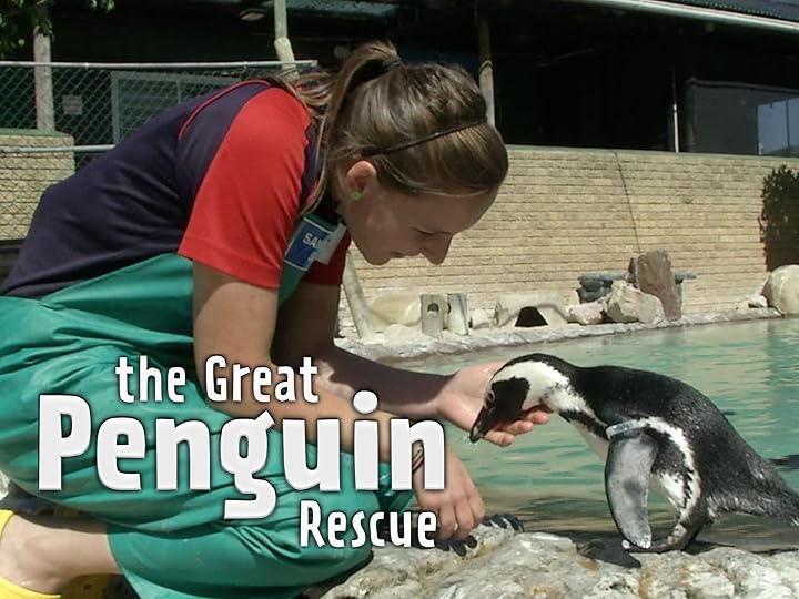 Prime Video: The Great Penguin Rescue - Season 1