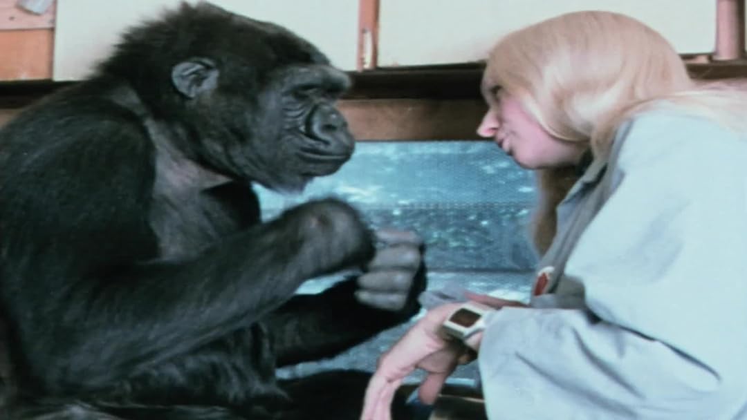 Prime Video: Koko le singe qui parle