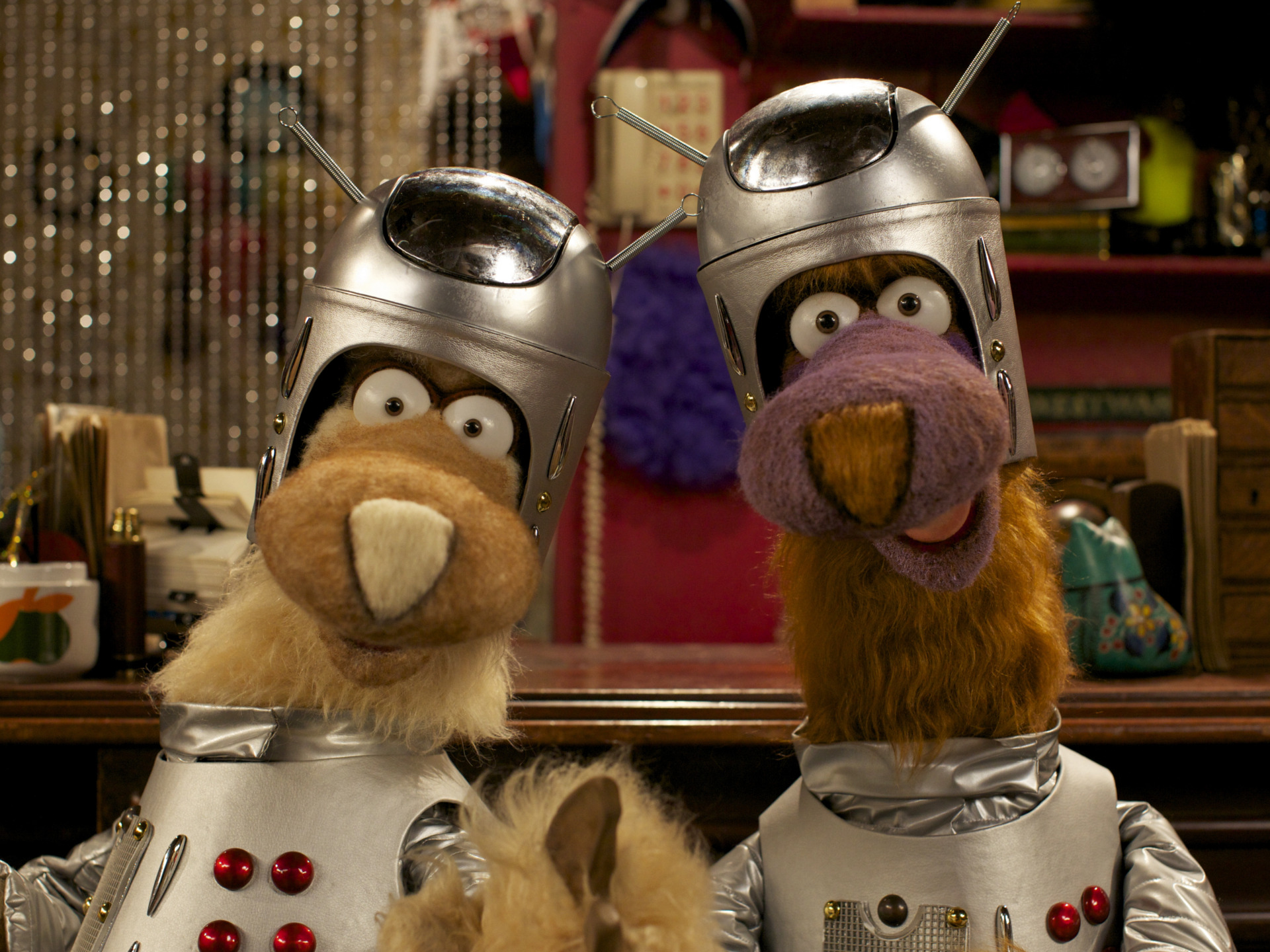 Prime Video: Nuzzle & Scratch - Frock n Roll