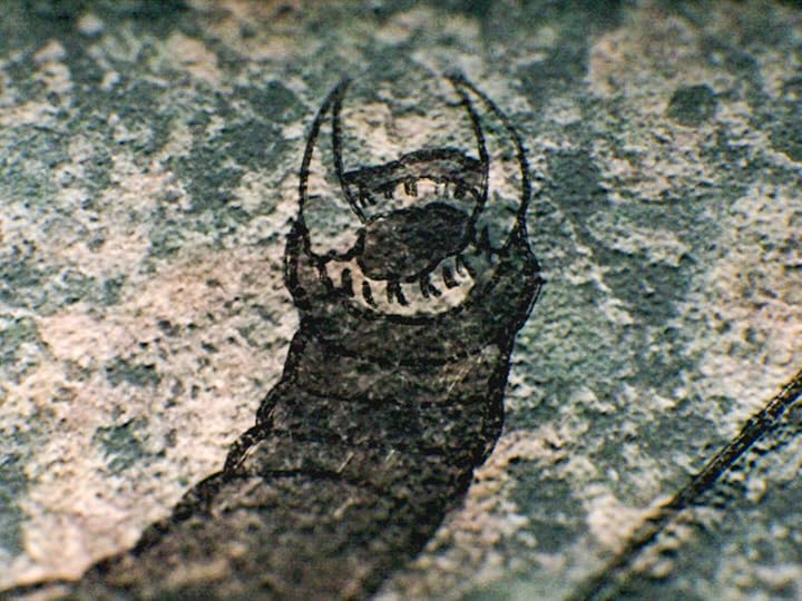 Prime Video: Strange Evidence - Season 7