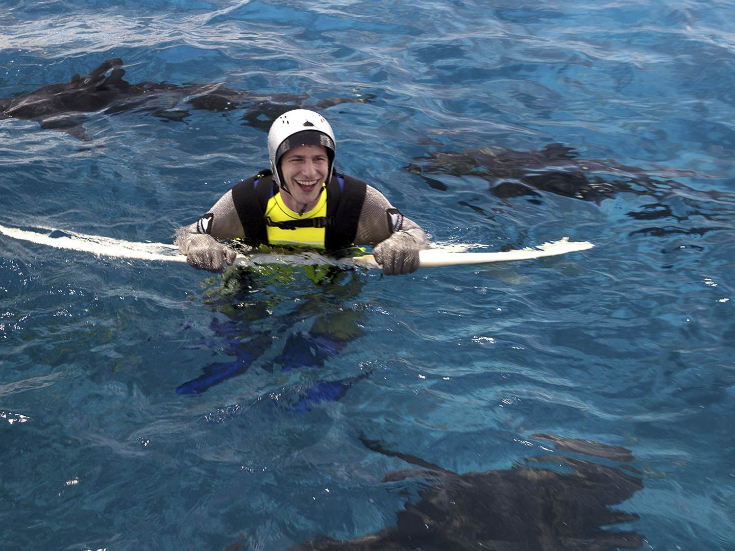 Prime Video: Shark Week - Season 2011