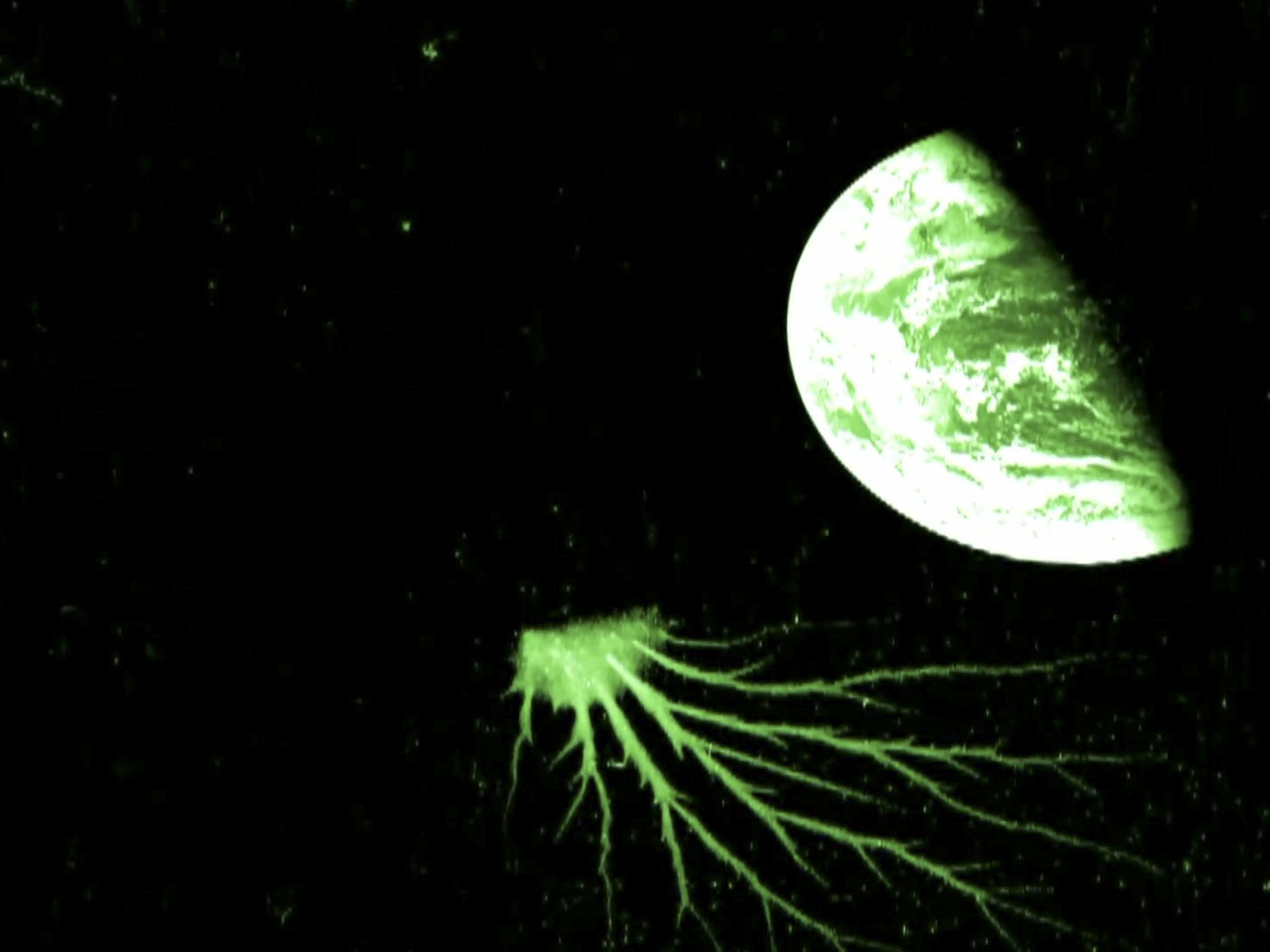 Prime Video: NASA's Unexplained Files - Season 1