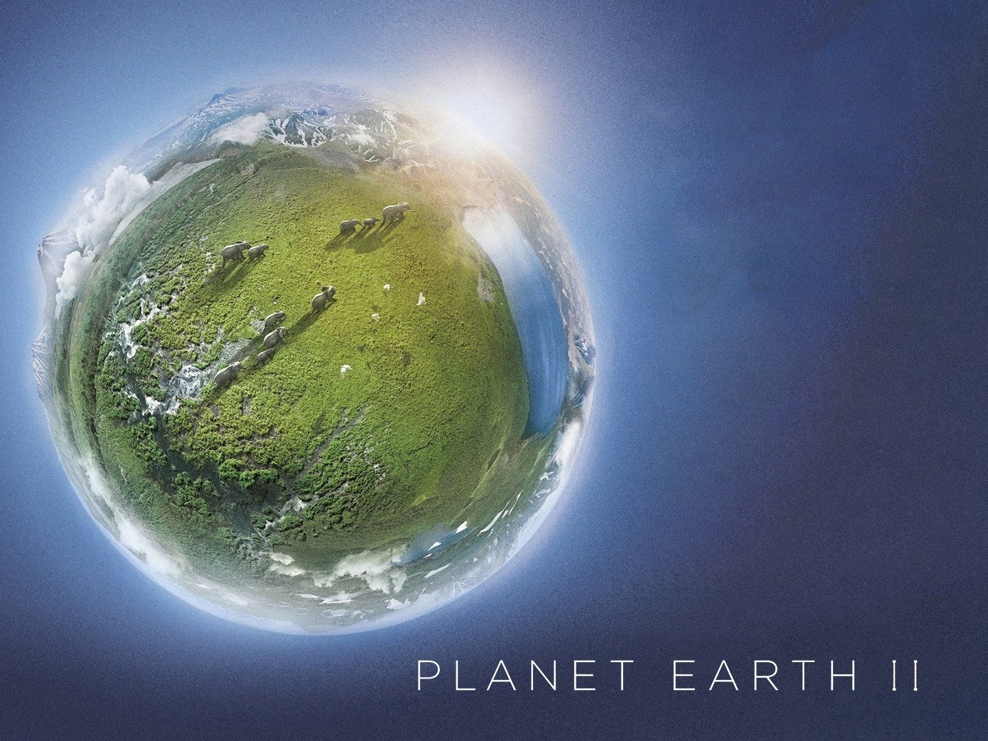 Prime Video: Planet Earth 2