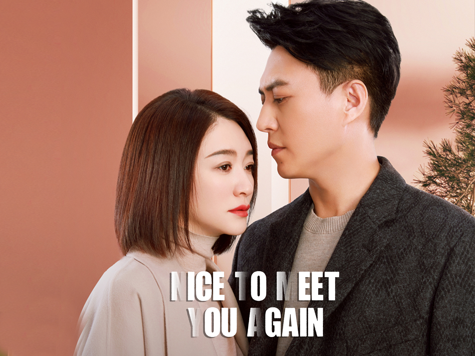 Prime Video: Nice To Meet You Again