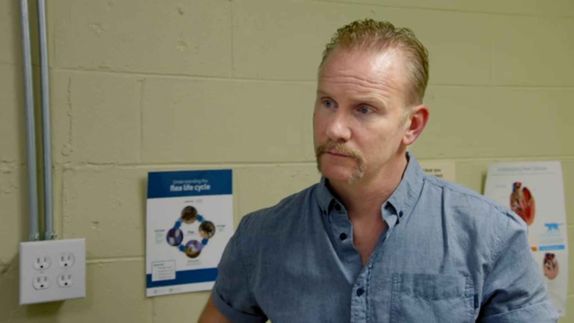 Prime Video: Super Size Me 2: Holy Chicken