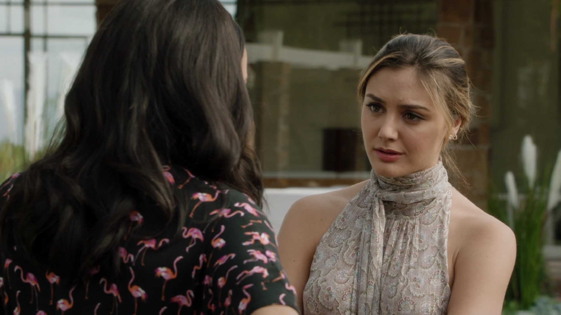 Prime Video: The Arrangement Season 2