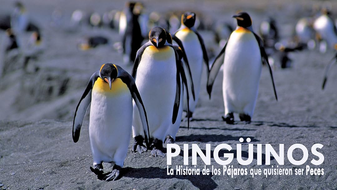 Prime Video: Pingüinos, la historia de las aves que quisieron ser peces