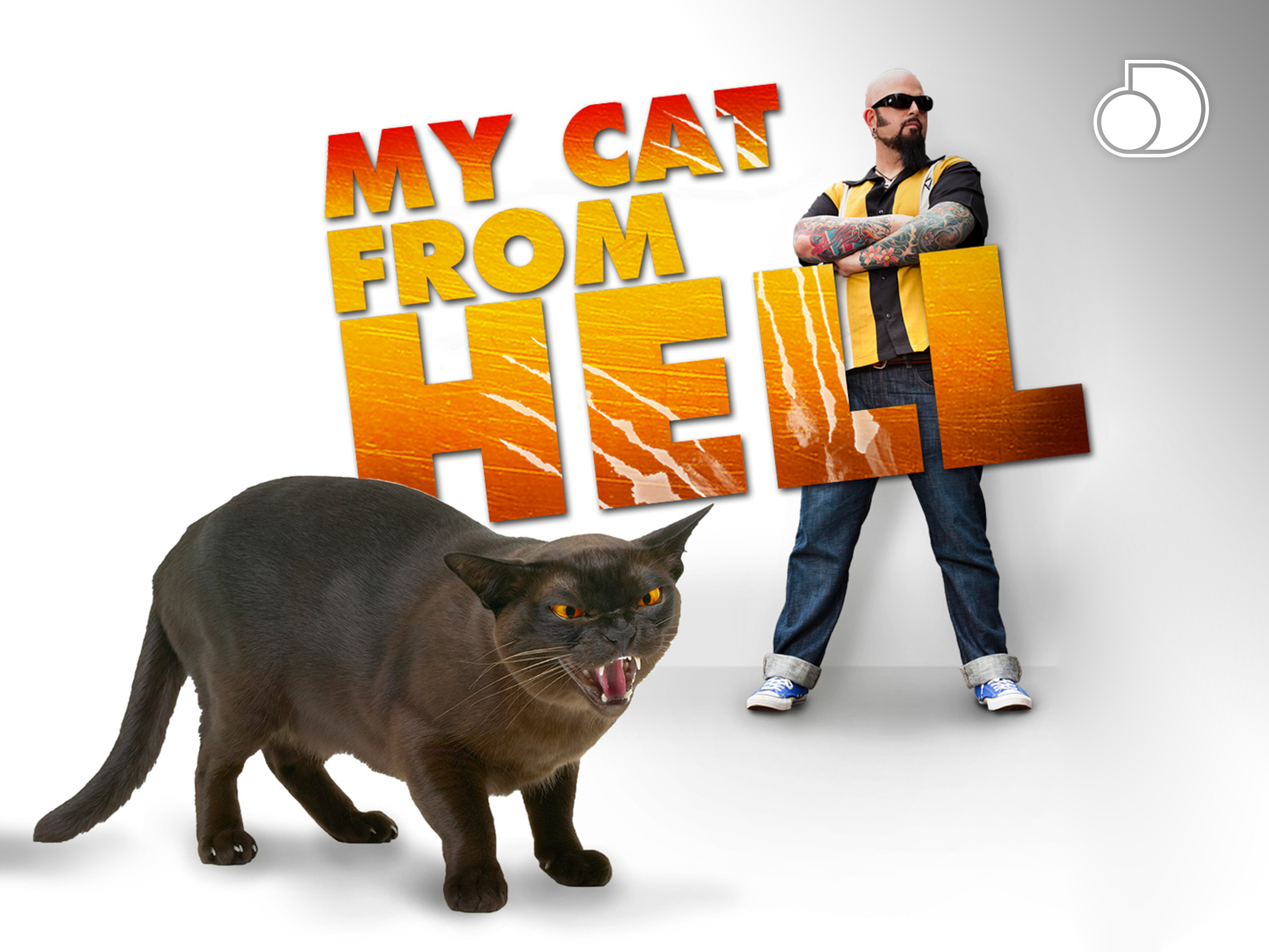 Prime Video: My Cat From Hell - Season 1