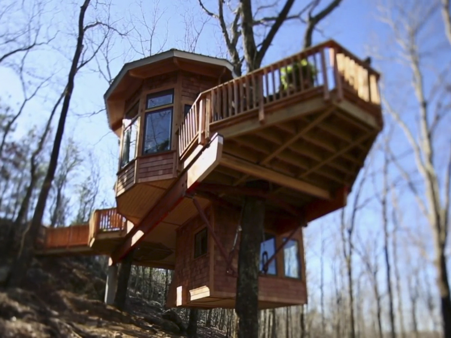 Prime Video: Treehouse Masters - Season 11