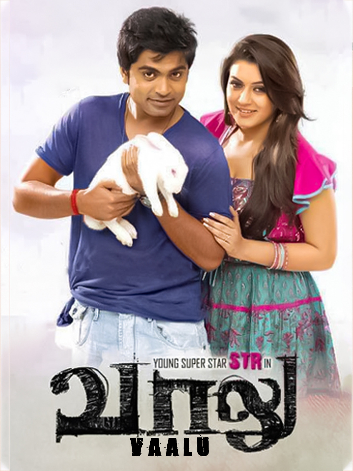 Santhanam In Vaalu