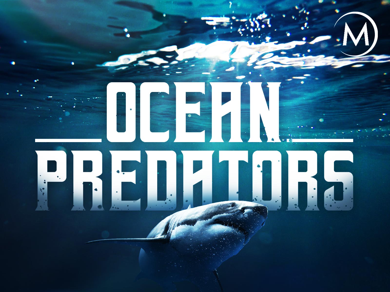 Prime Video: Ocean Predators