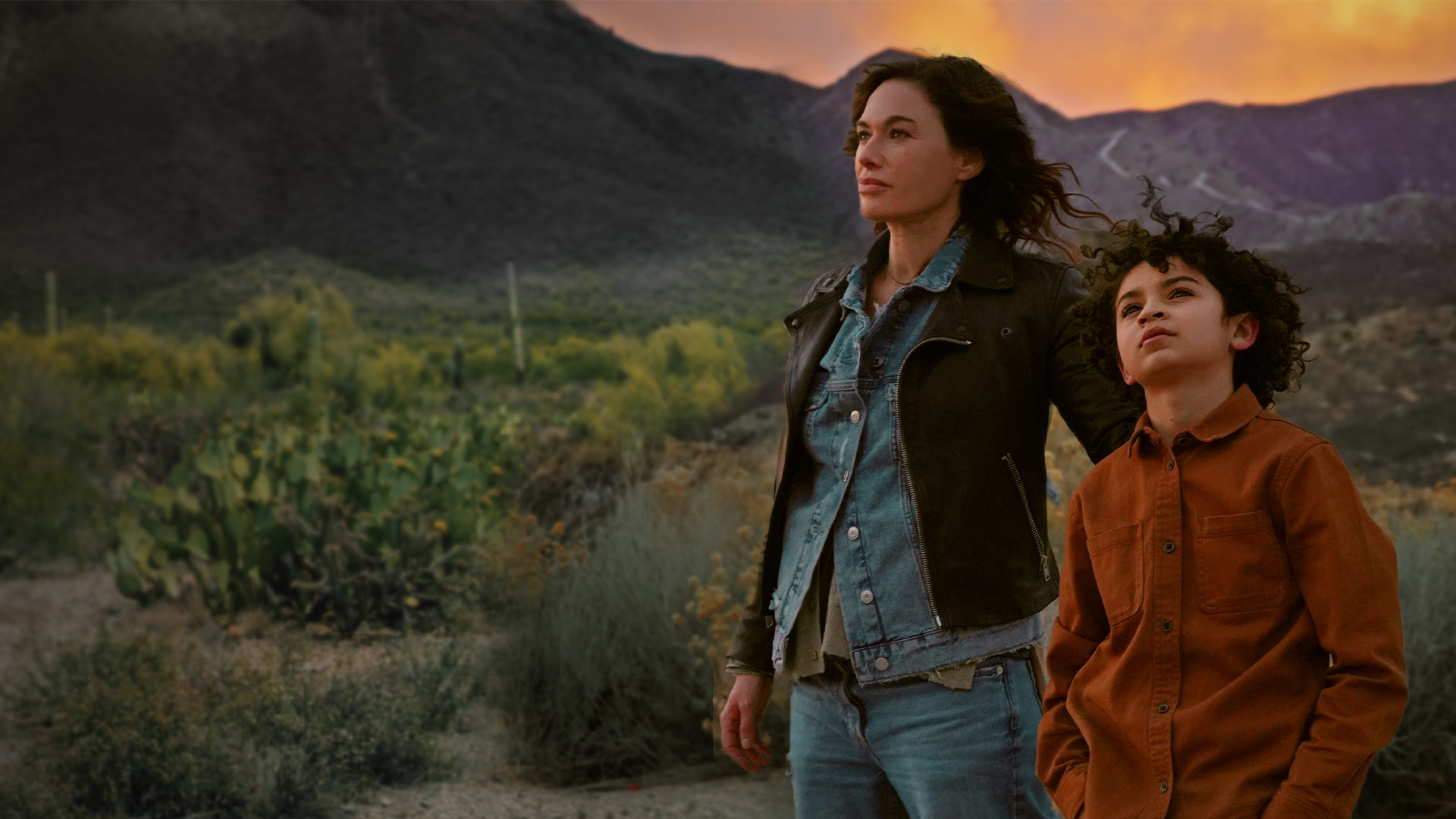 Prime Video: 9 Bullets