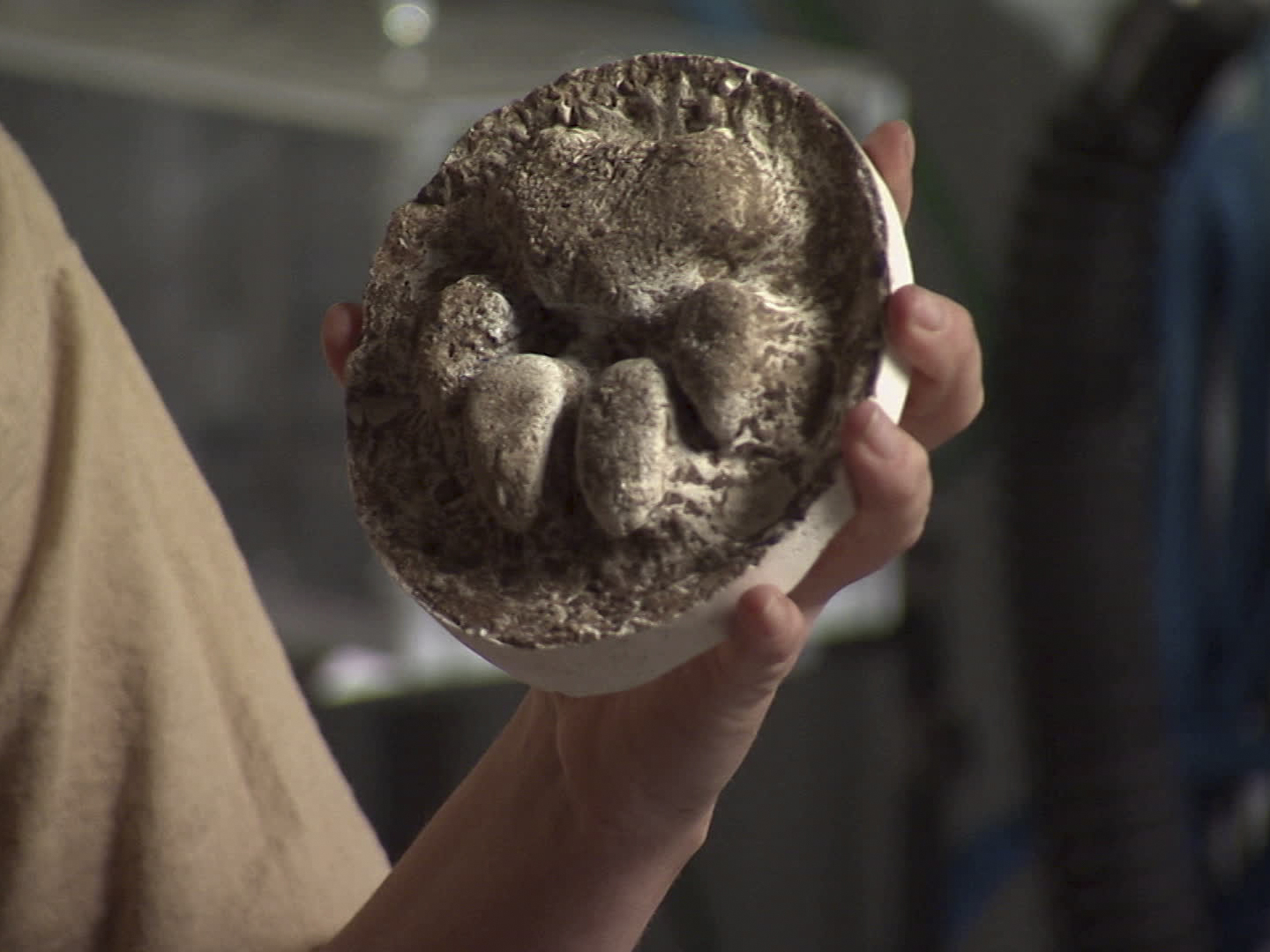 Prime Video: MonsterQuest - Season 2