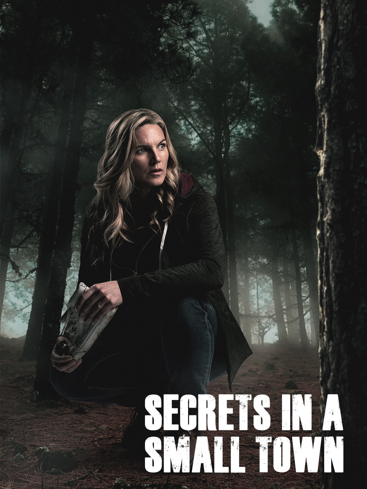 Prime Video: Secrets in a Small Town
