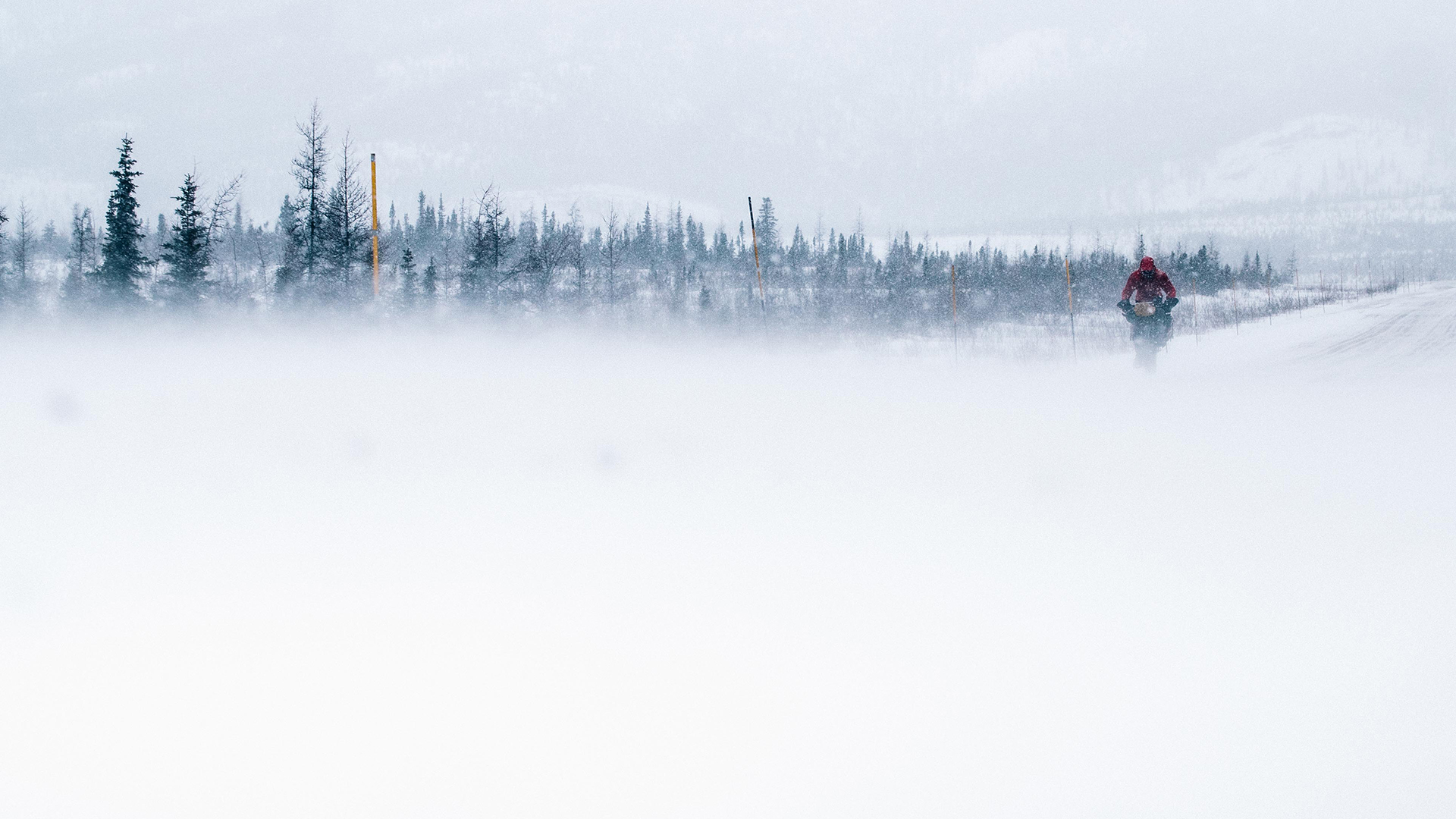 Prime Video: The Frozen Road