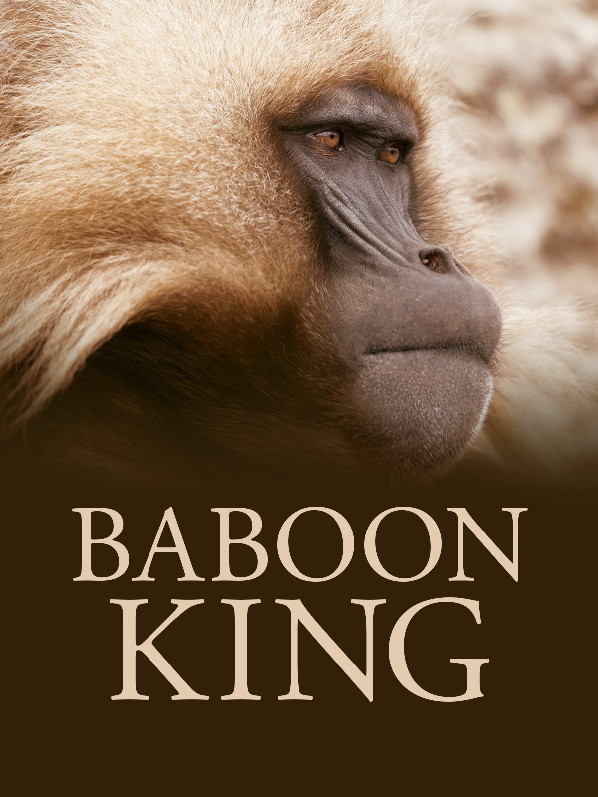 Prime Video: Baboon King