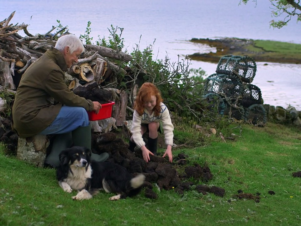 Prime Video: Katie Morag Season 1