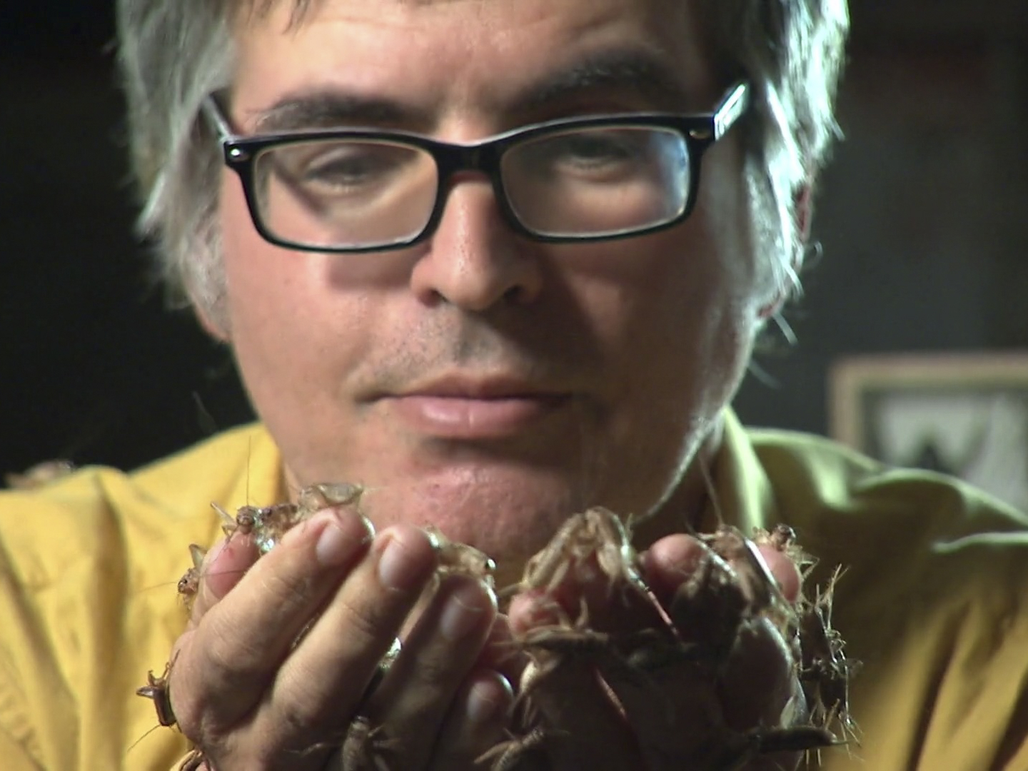 Prime Video: My Crazy Obsession - Season 2