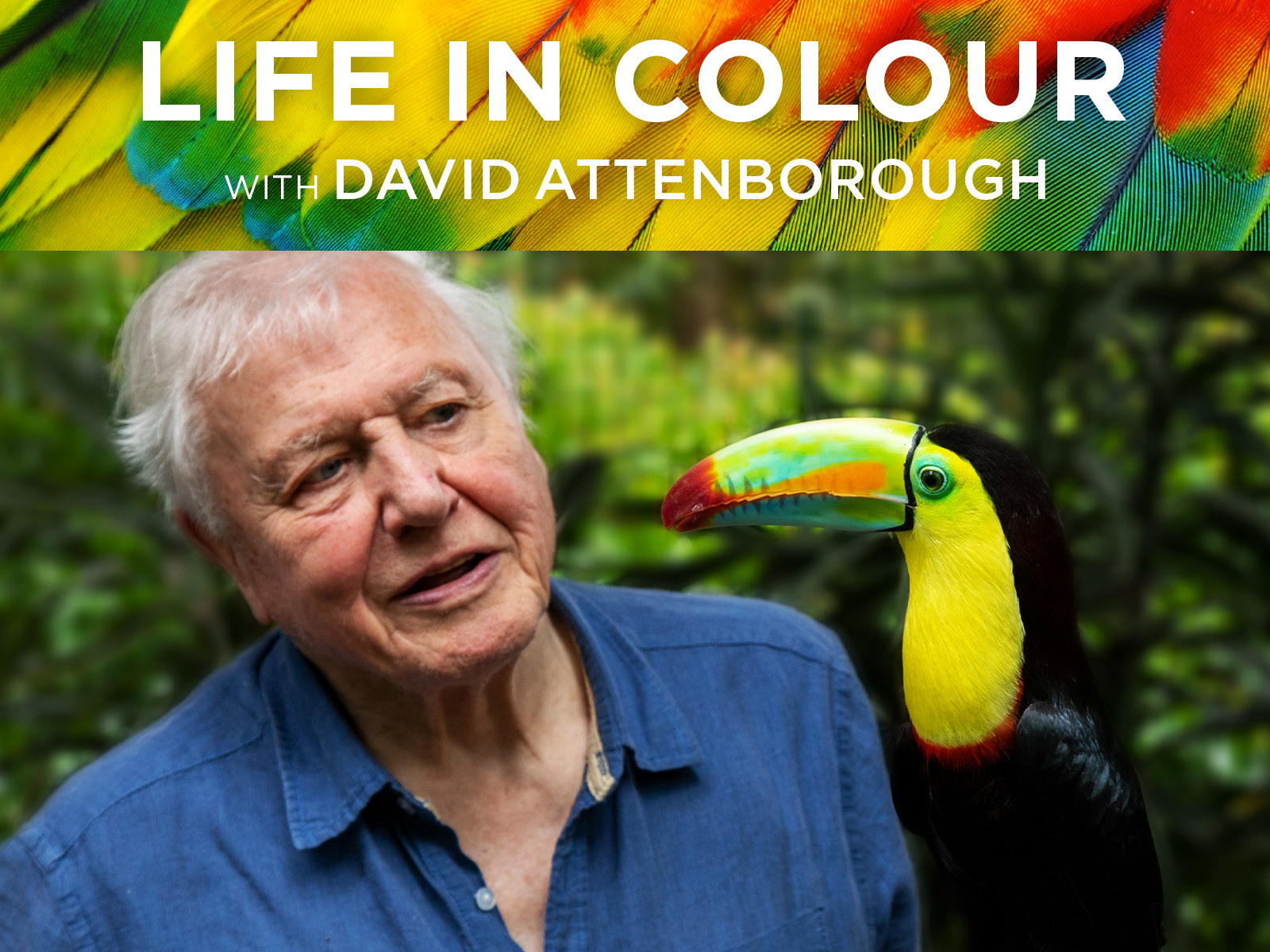 Prime Video: Life in Color With David Attenborough, Season 1