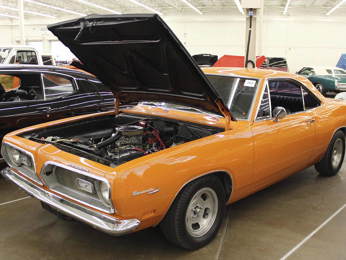 Prime Video: Dallas Car Sharks - Season 2