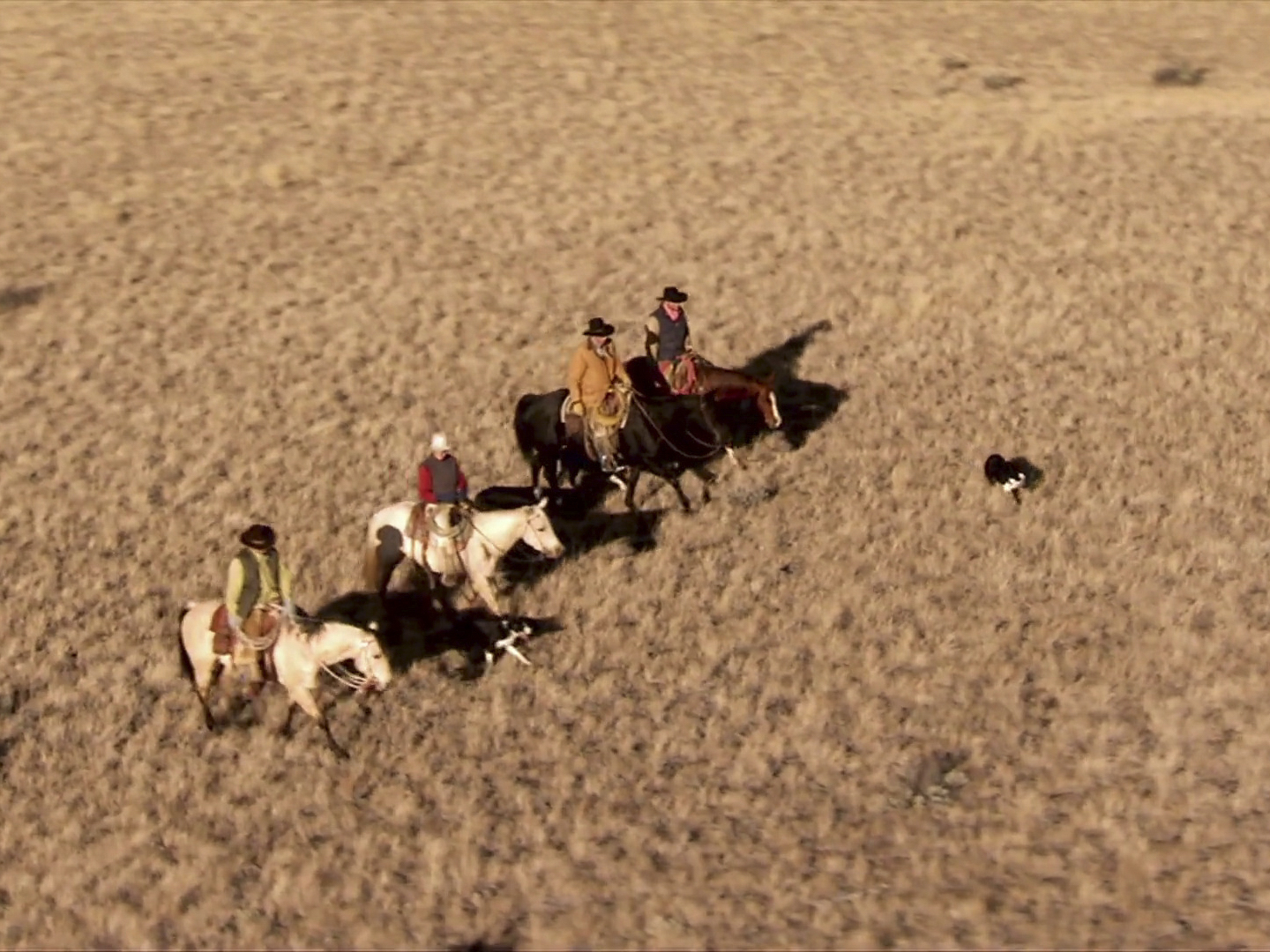 Prime Video: Last American Cowboy - Season 1