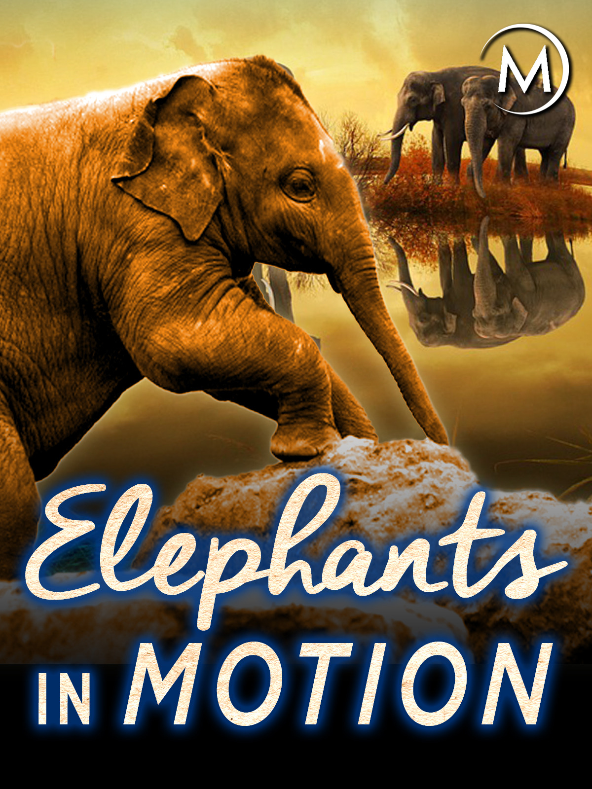 Prime Video: Elephants in Motion