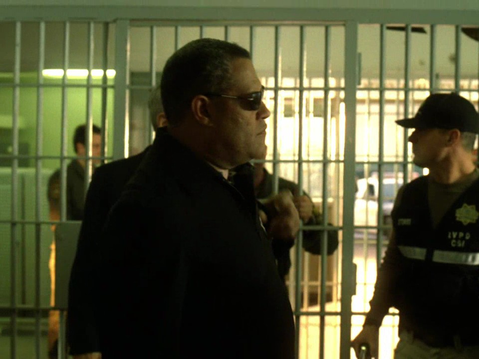 Prime Video: CSI: Crime Scene Investigation, Season 11