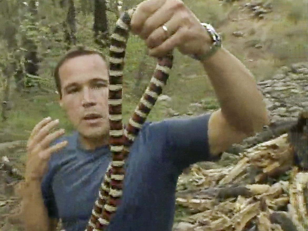Prime Video: The Jeff Corwin Experience - Season 1