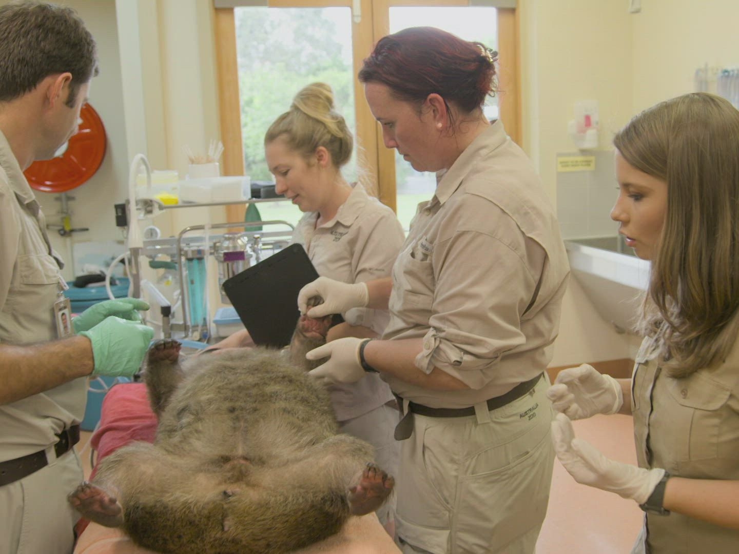 Prime Video: Crikey! It's the Irwins - Season 1