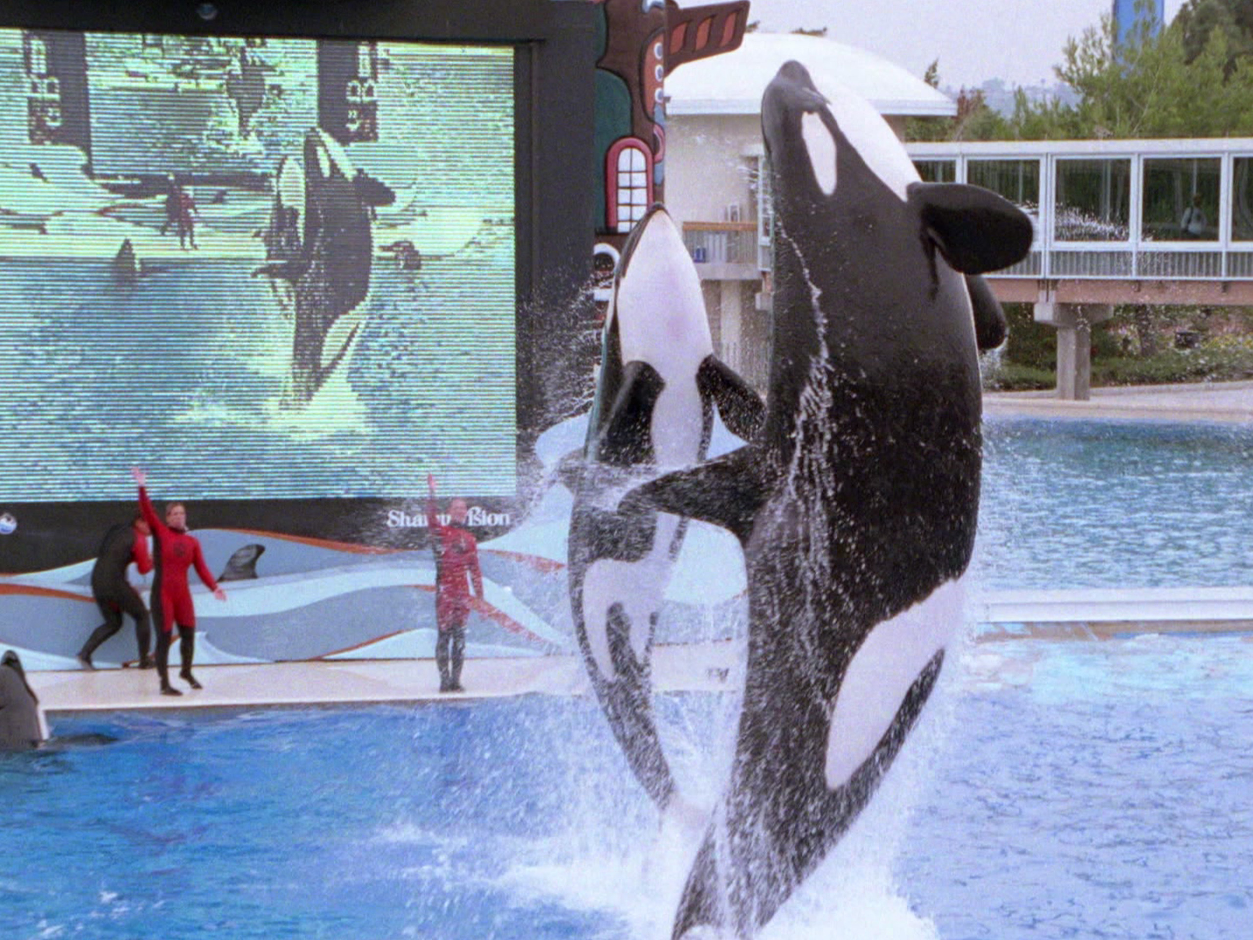 Prime Video: Baywatch, Season 4