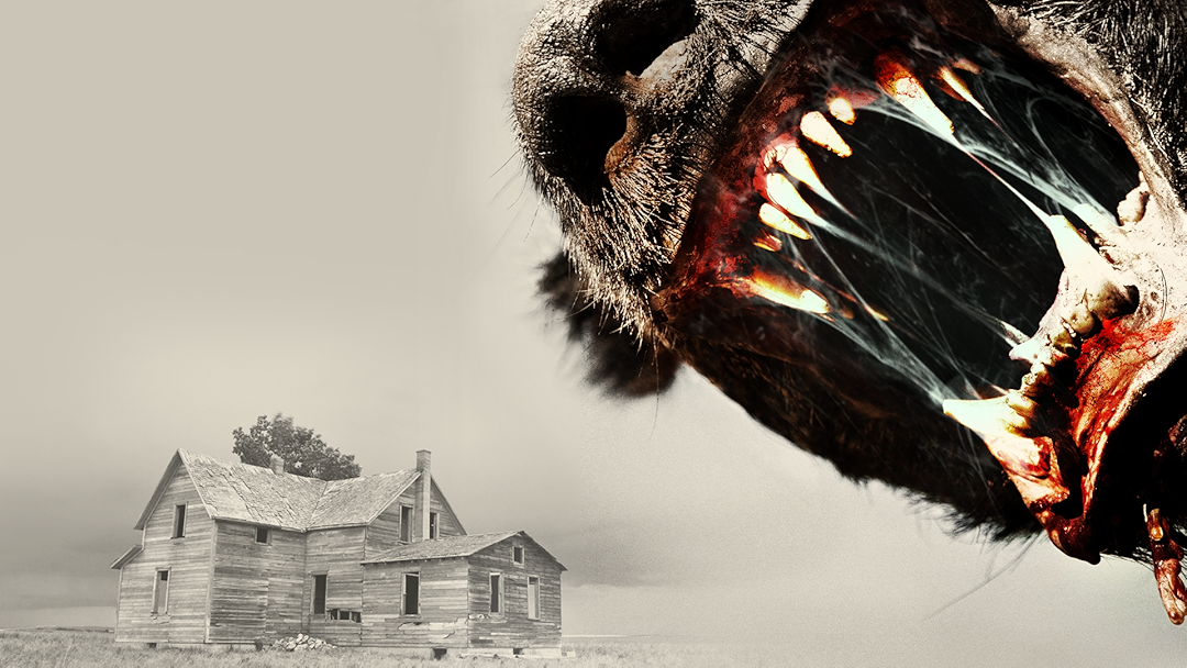 Watch Fang | Prime Video