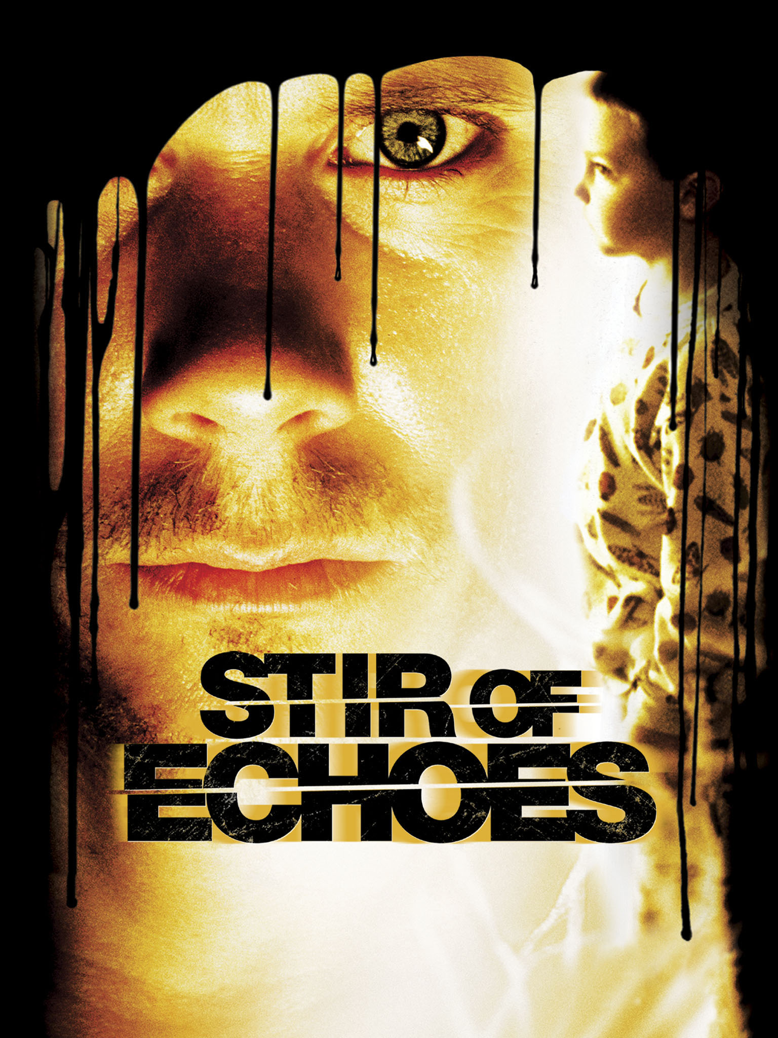 Prime Video: A Stir Of Echoes