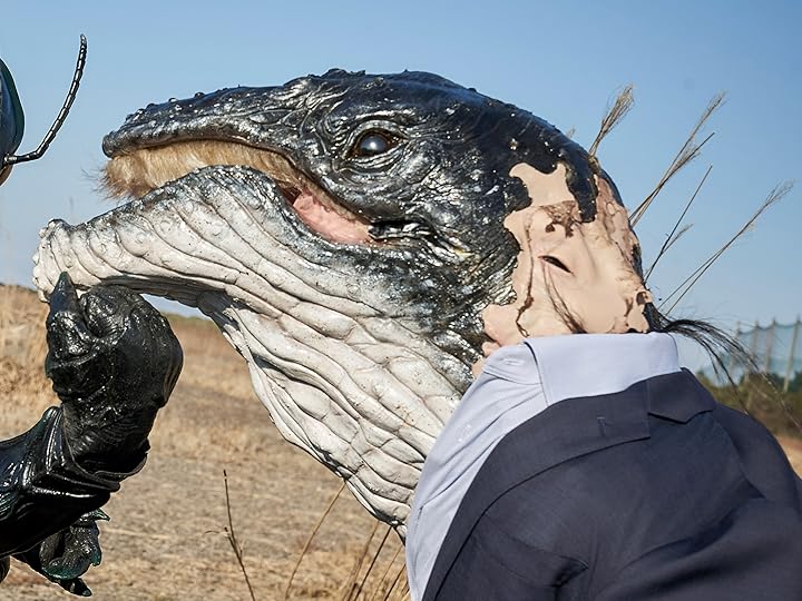 Amazon.com: KAMEN RIDER BLACK SUN : Hidetoshi Nishijima, Tomoya ...