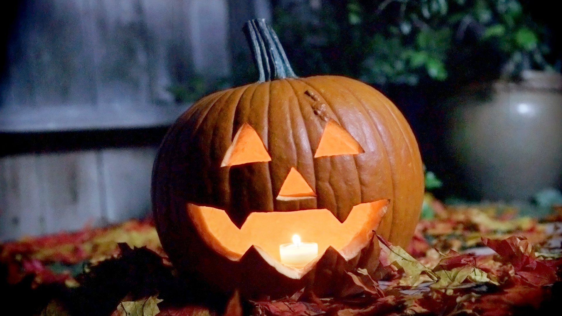 Prime Video: The Ghoul Log