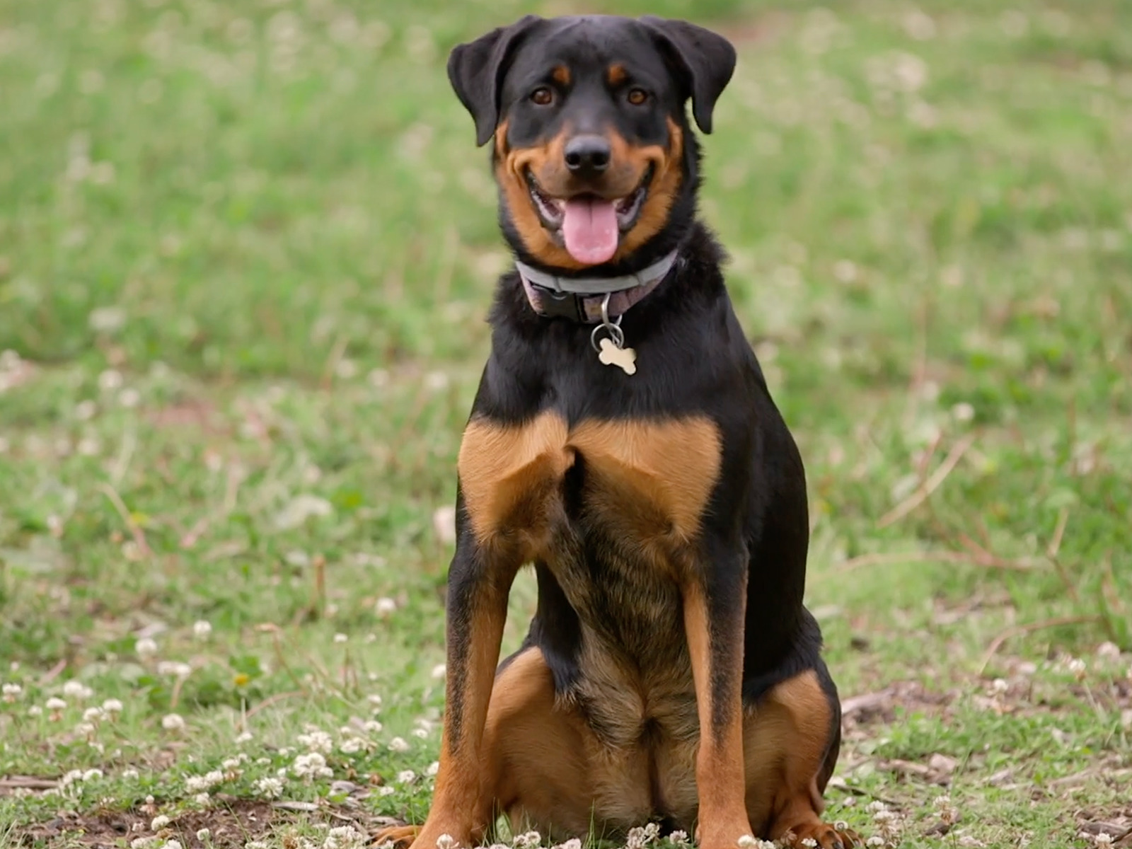 Prime Video: Going Deep With David Rees