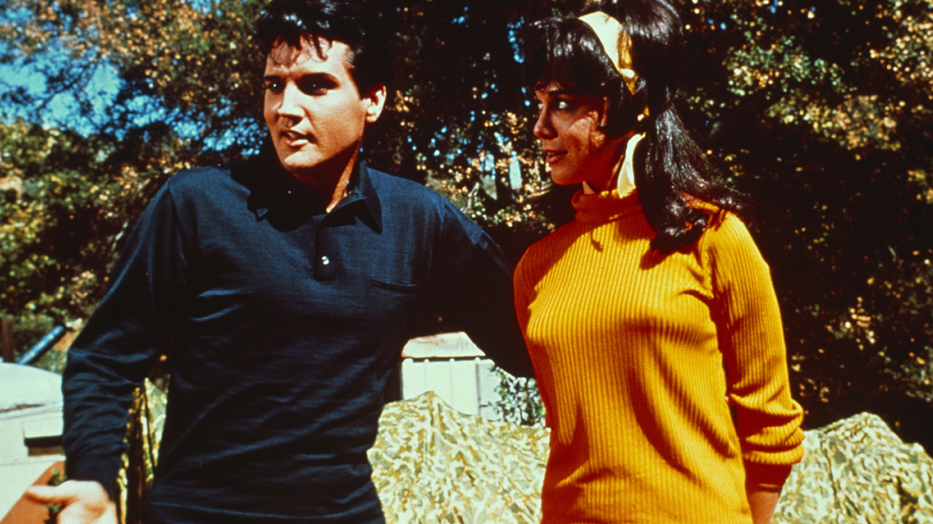 Watch Easy Come, Easy Go | Prime Video