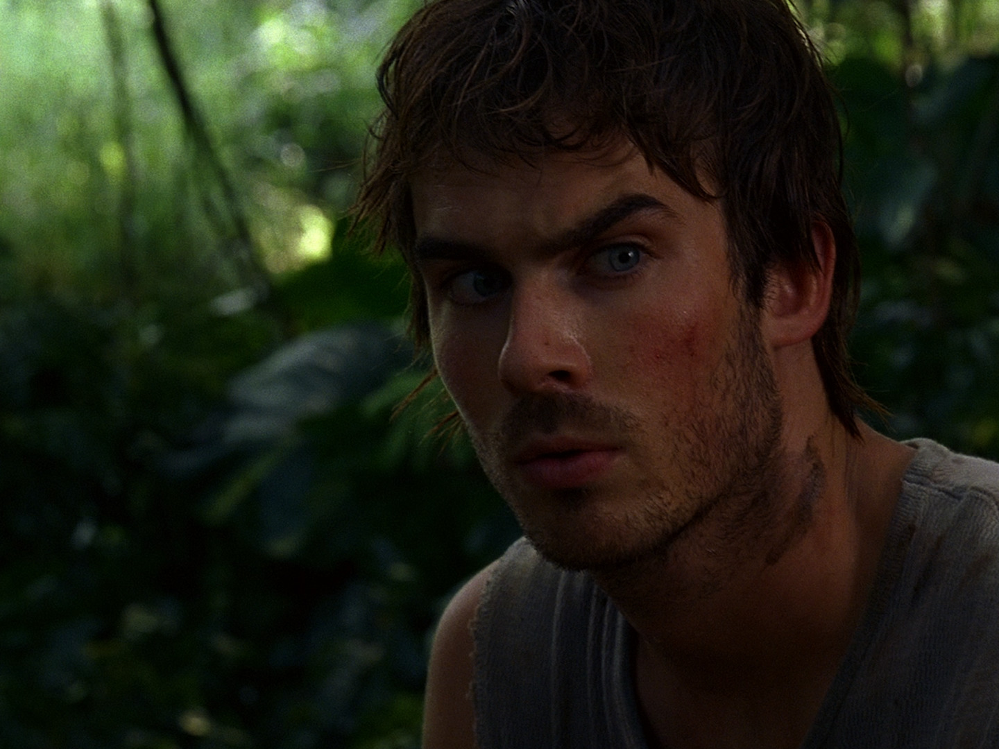 Prime Video: Lost Season 1