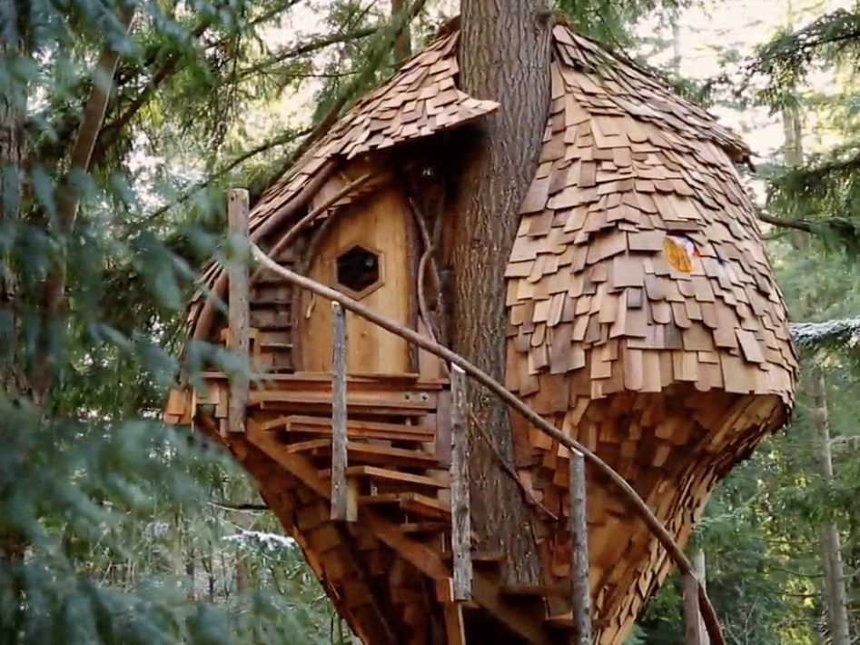 Prime Video: Treehouse Masters - Season 3