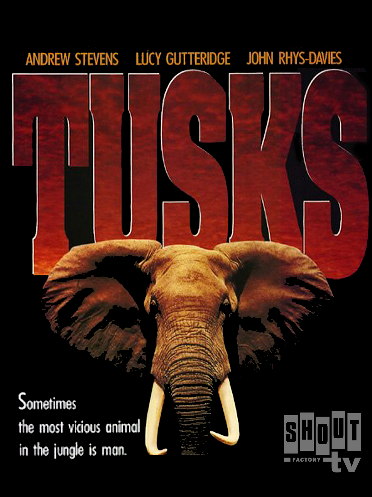 Prime Video: Tusks