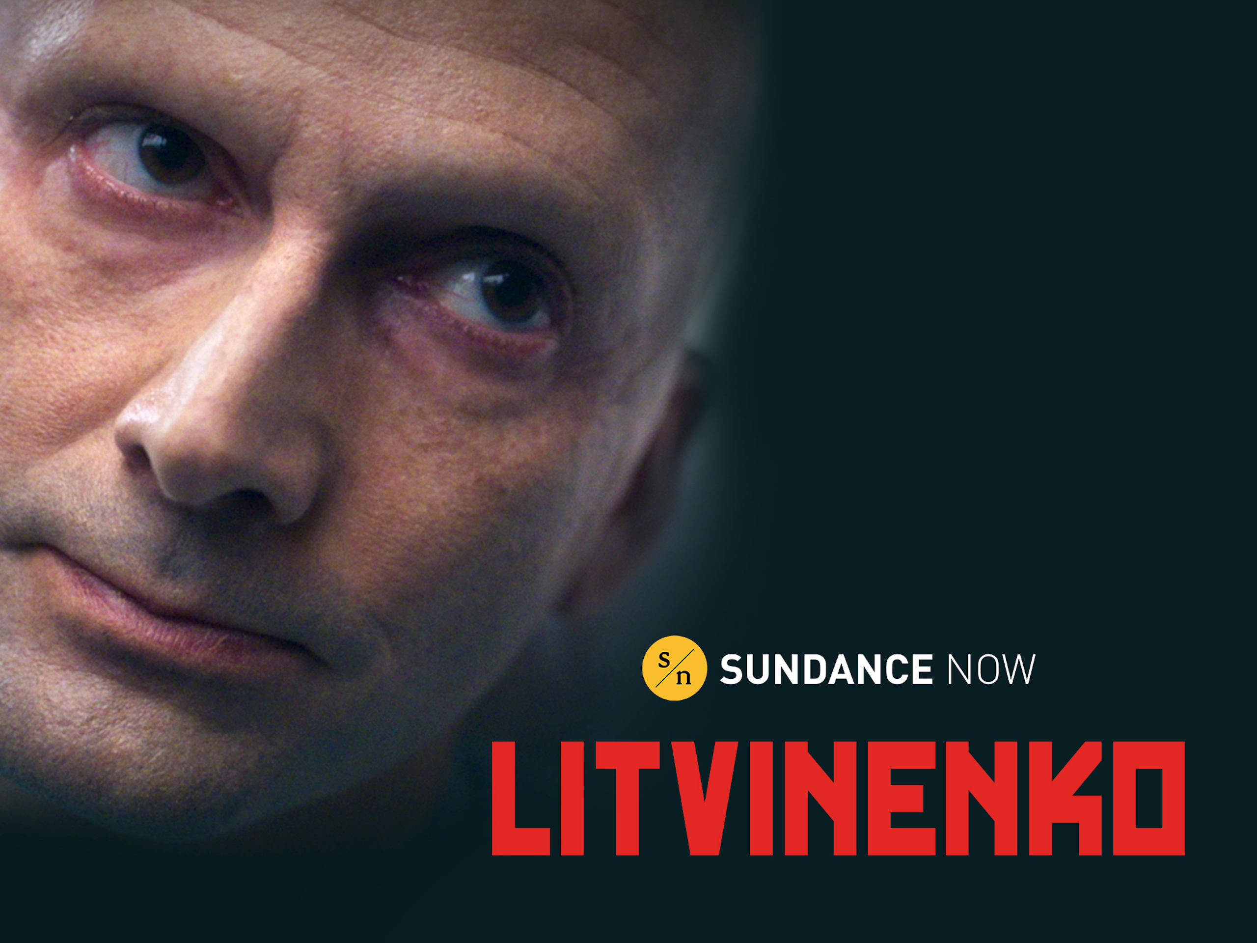 Prime Video: Litvinenko: Season 1