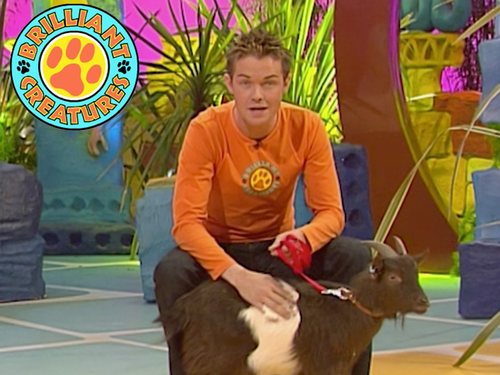 Prime Video: Brilliant Creatures