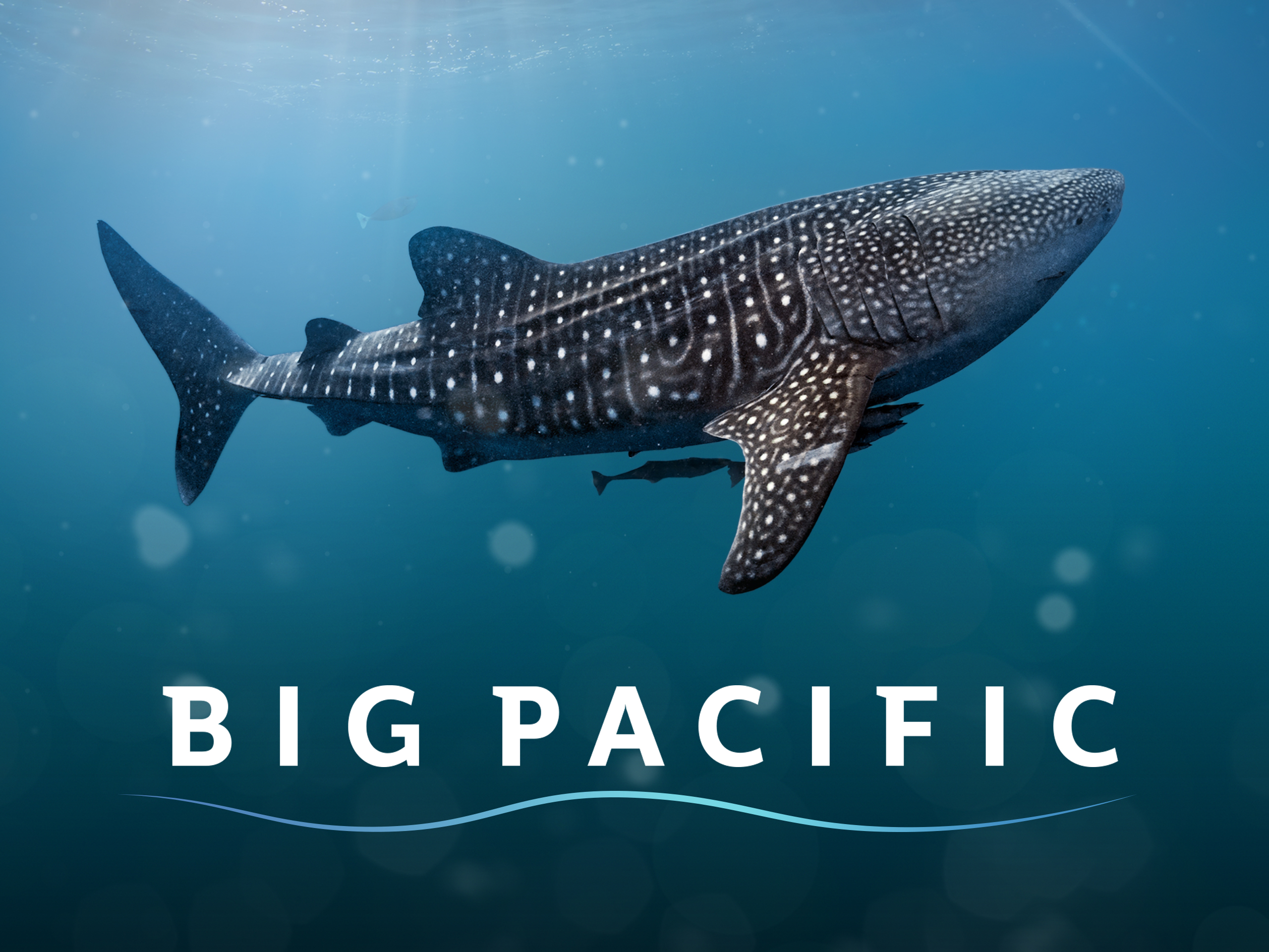 Prime Video: Big Pacific
