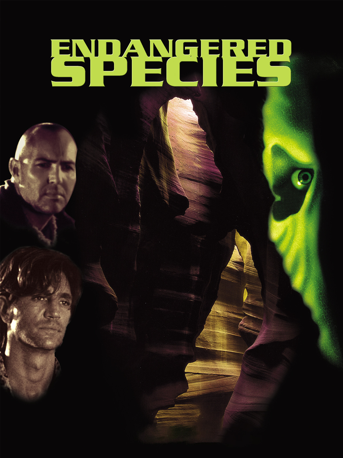 Prime Video: Endangered Species