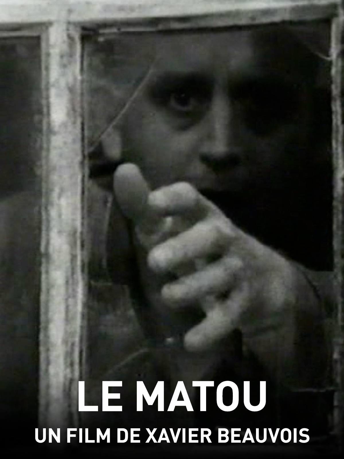 Prime Video: Le Matou