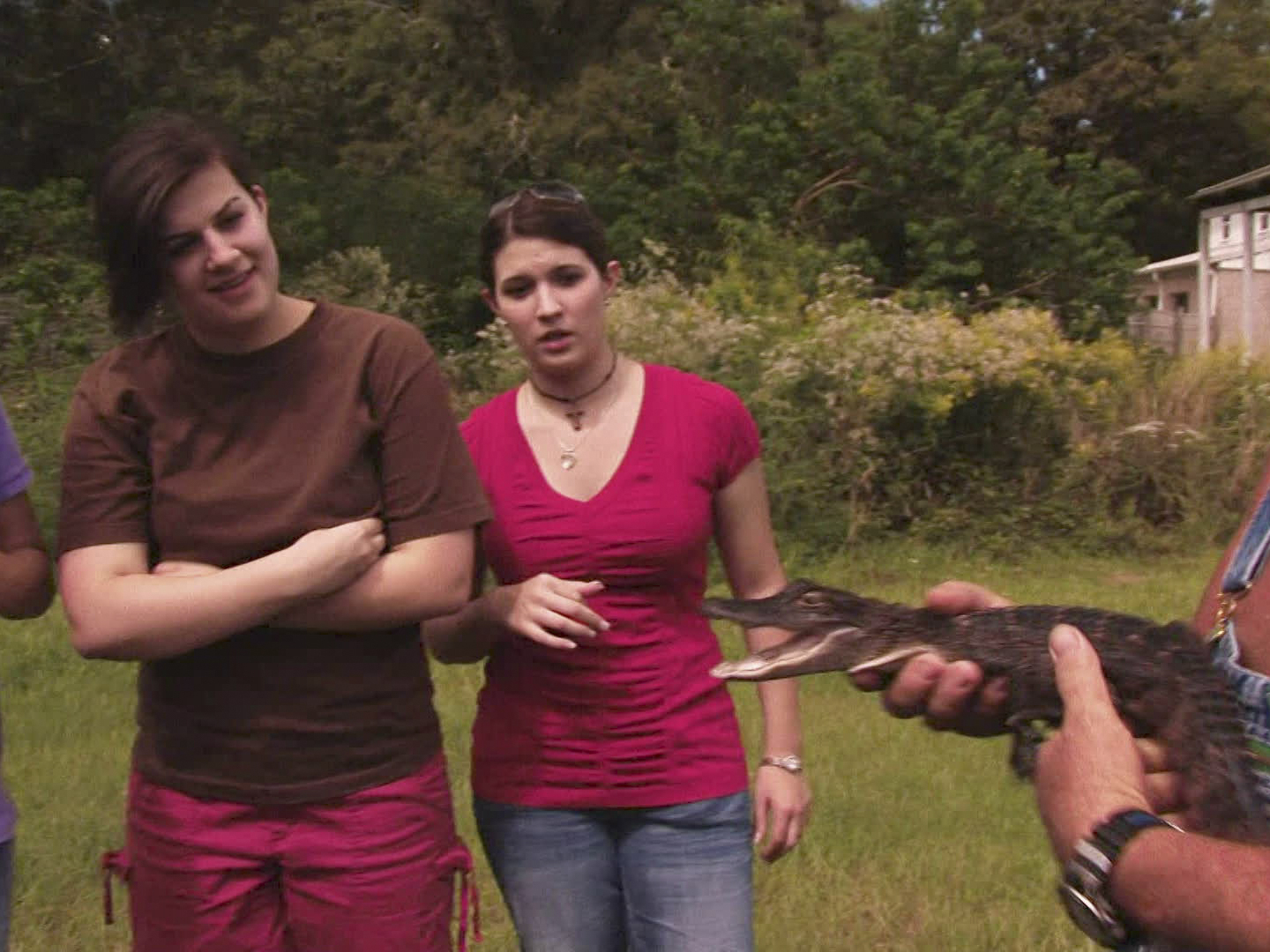 Prime Video: Swamp People - Season 1