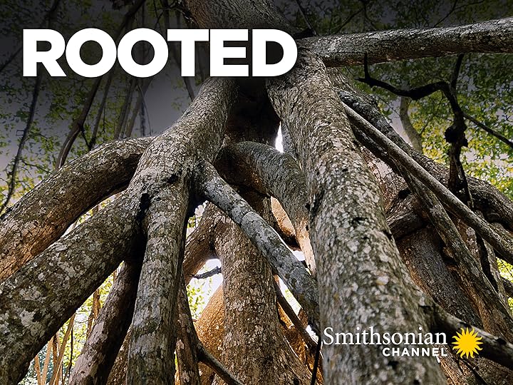 Prime Video: Rooted - Season 2